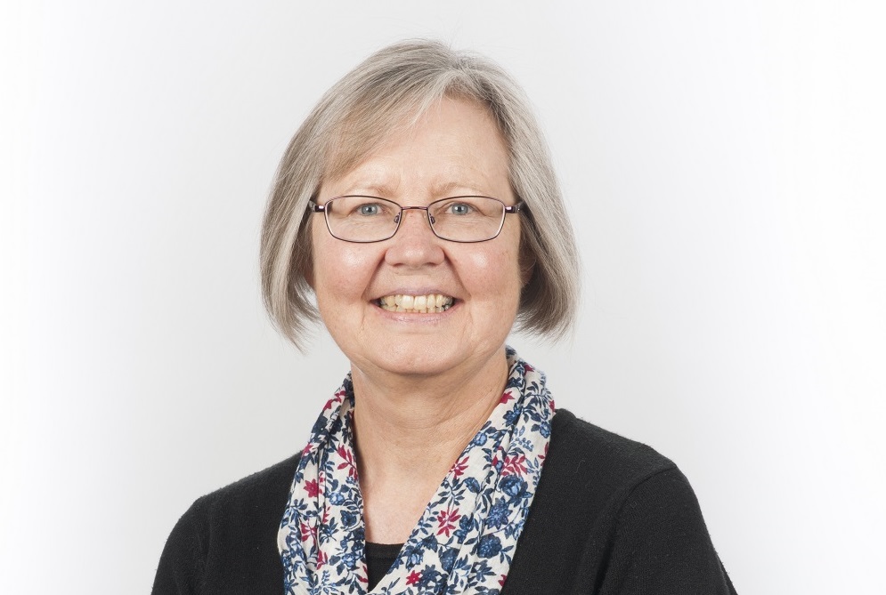 Centre for Fusion Learning Innovation and Excellence | Dr Sue Way ...