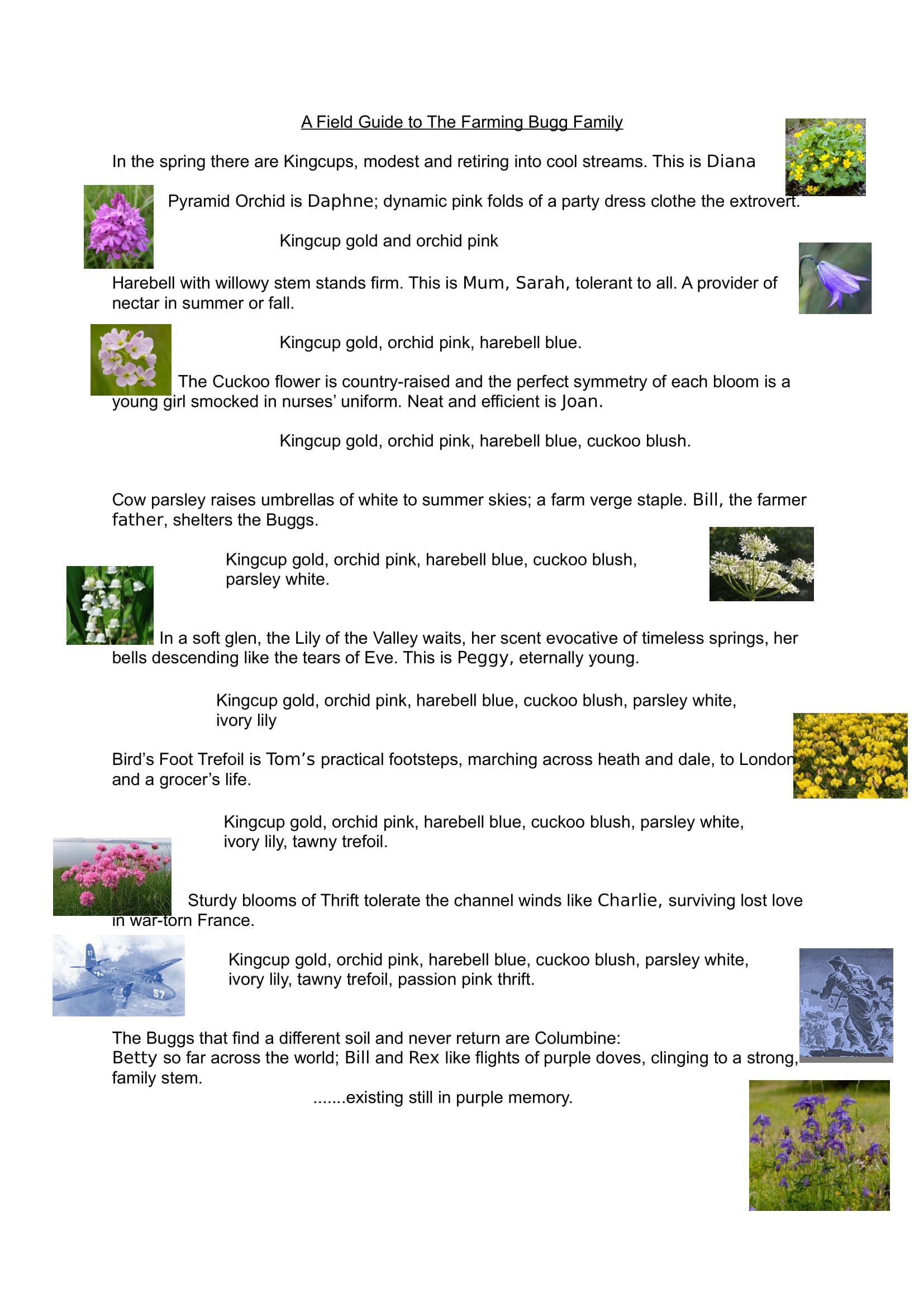 Memory Markers | A Field Guide to the Buggs