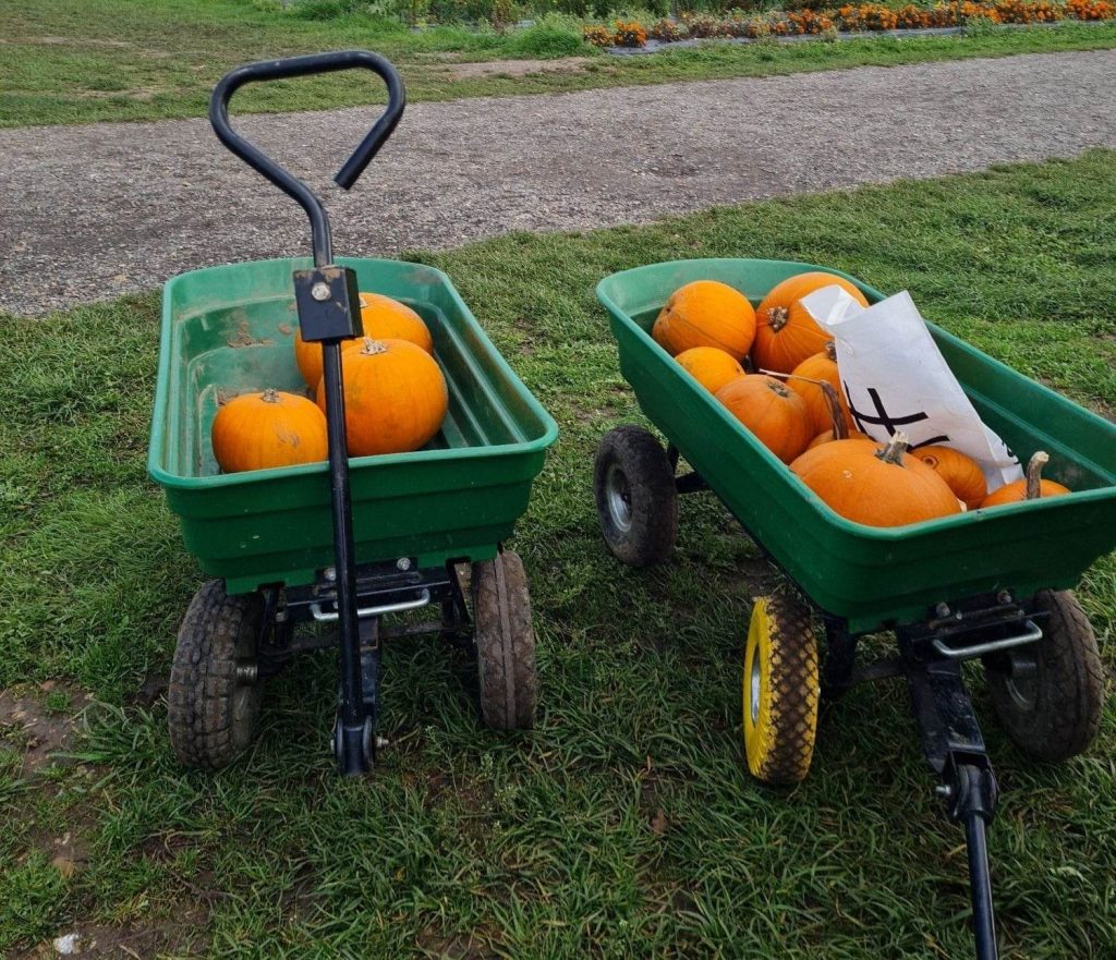 Student & Graduate Stories | What to do in your spare time on campus ...