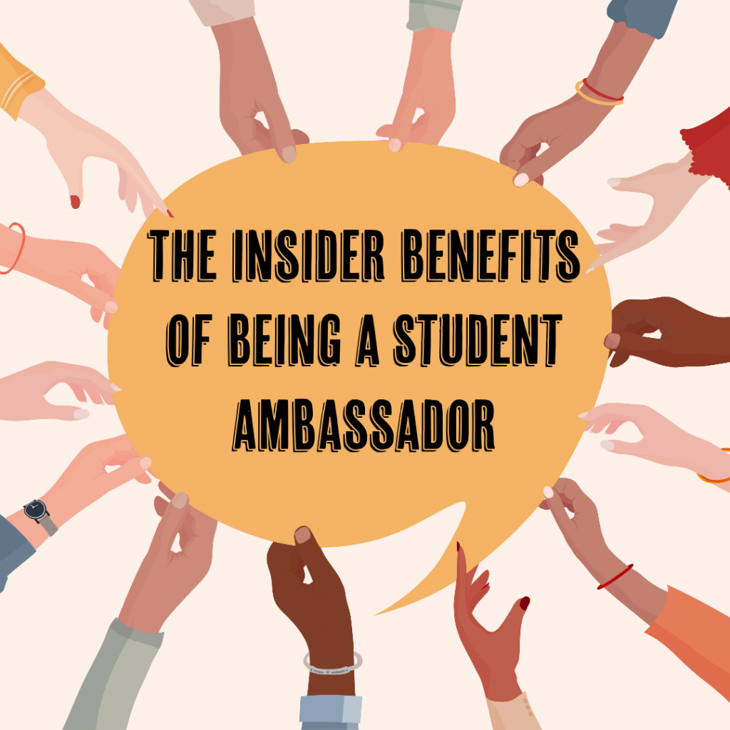 Student Blog | Postgraduate | Bournemouth University